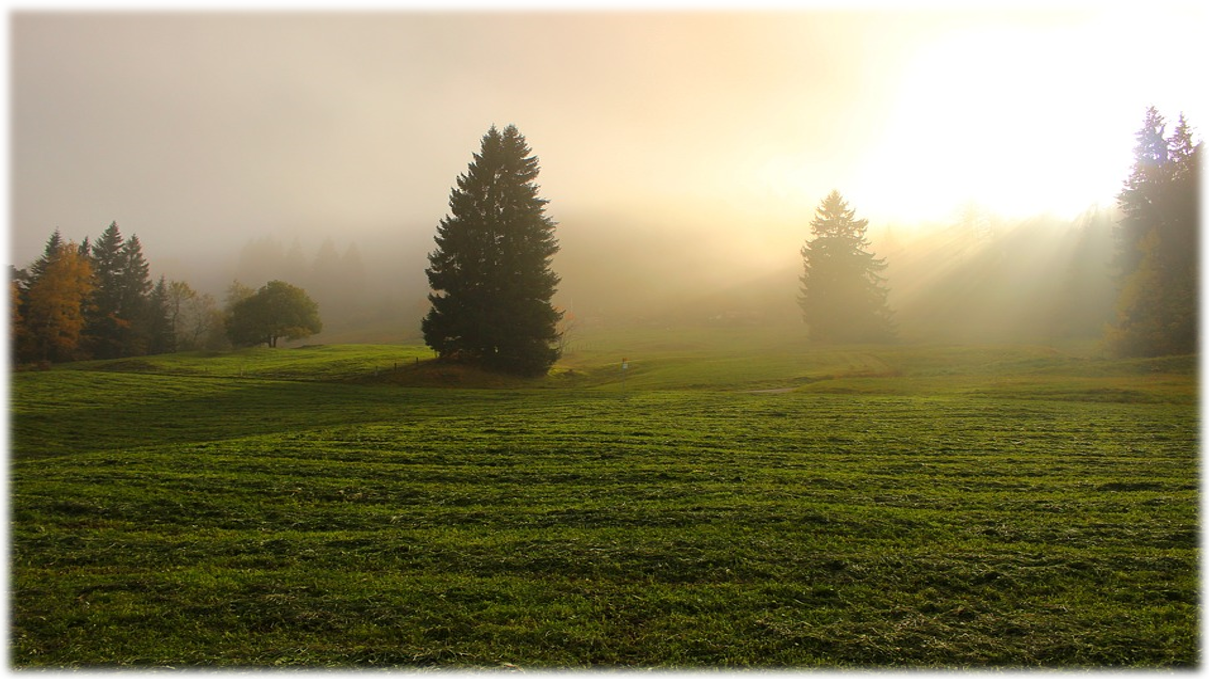 Through Nature to Nature’s God | "The Lord is my Shepherd"